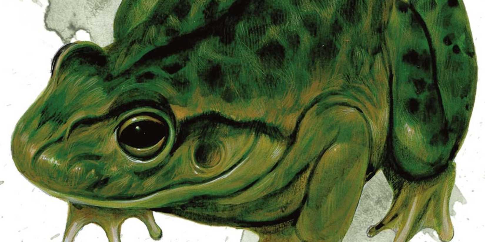The Best Druid Wild Shapes In DND