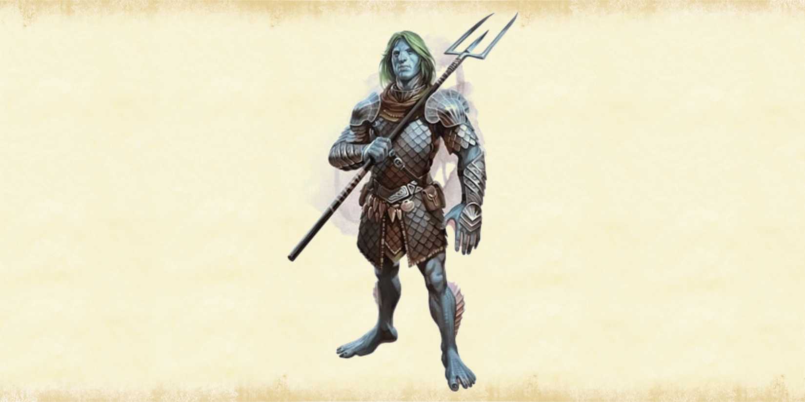The Best Species And Class Combos In DnD