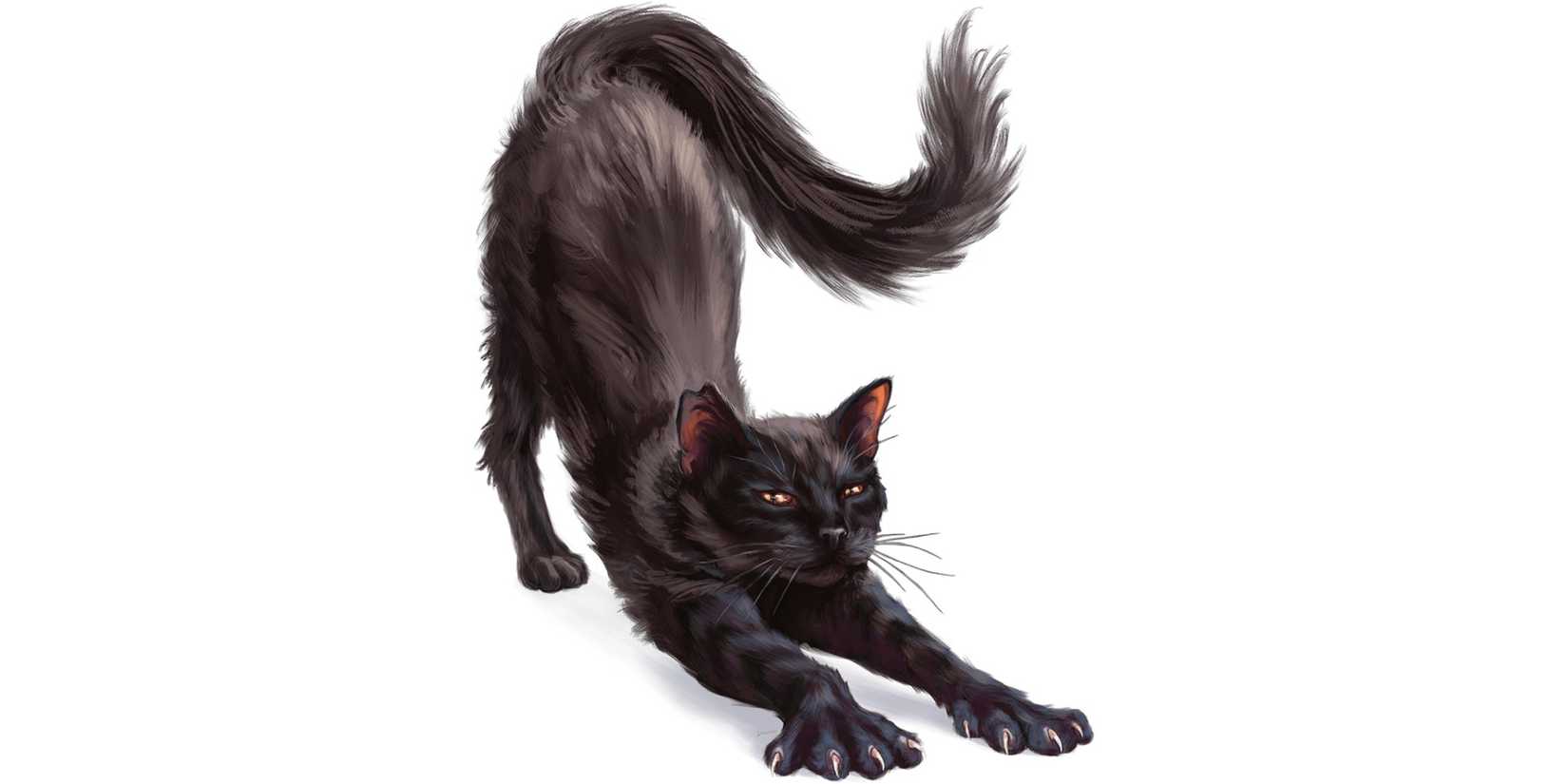 Best Familiars In Dungeons & Dragons