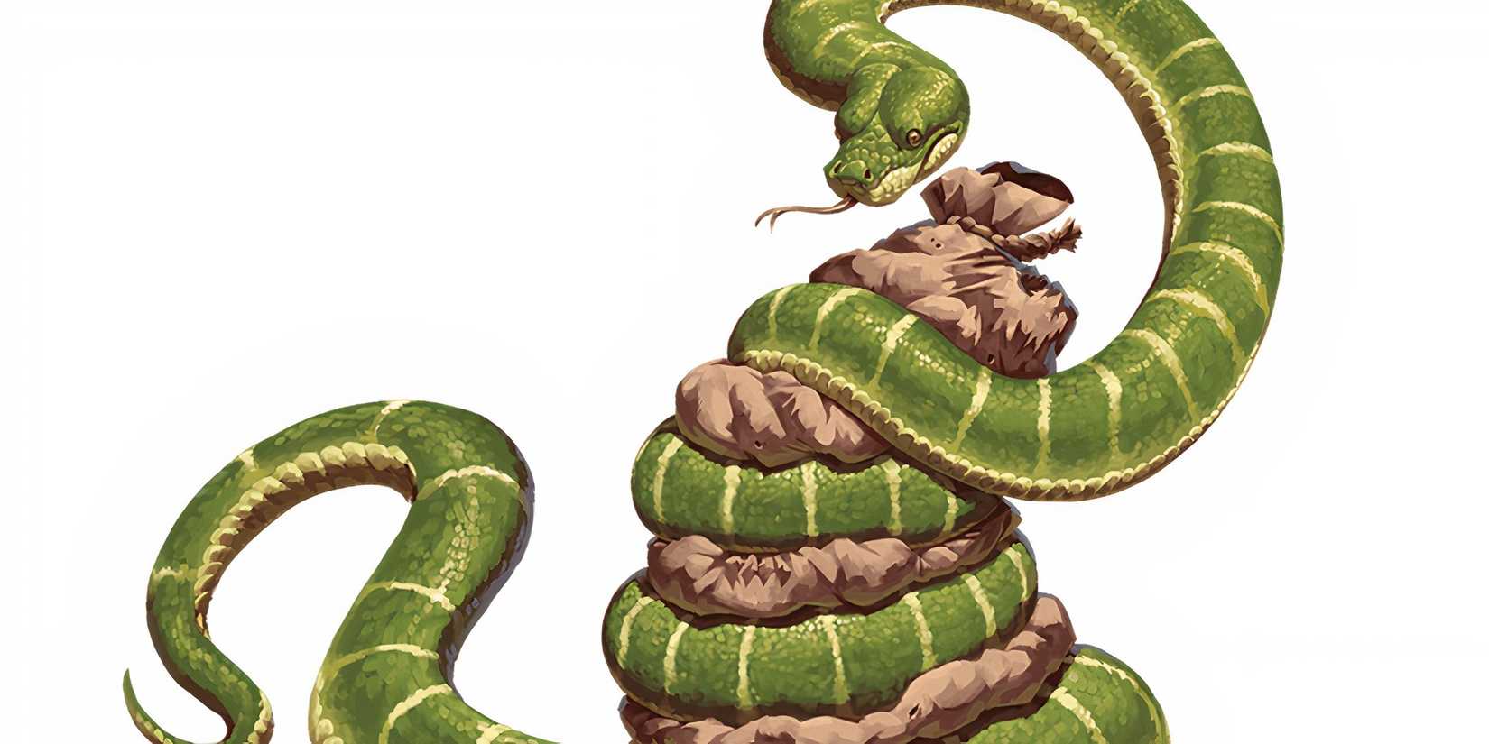 Great Monsters To Use For A Jungle Campaign In DND