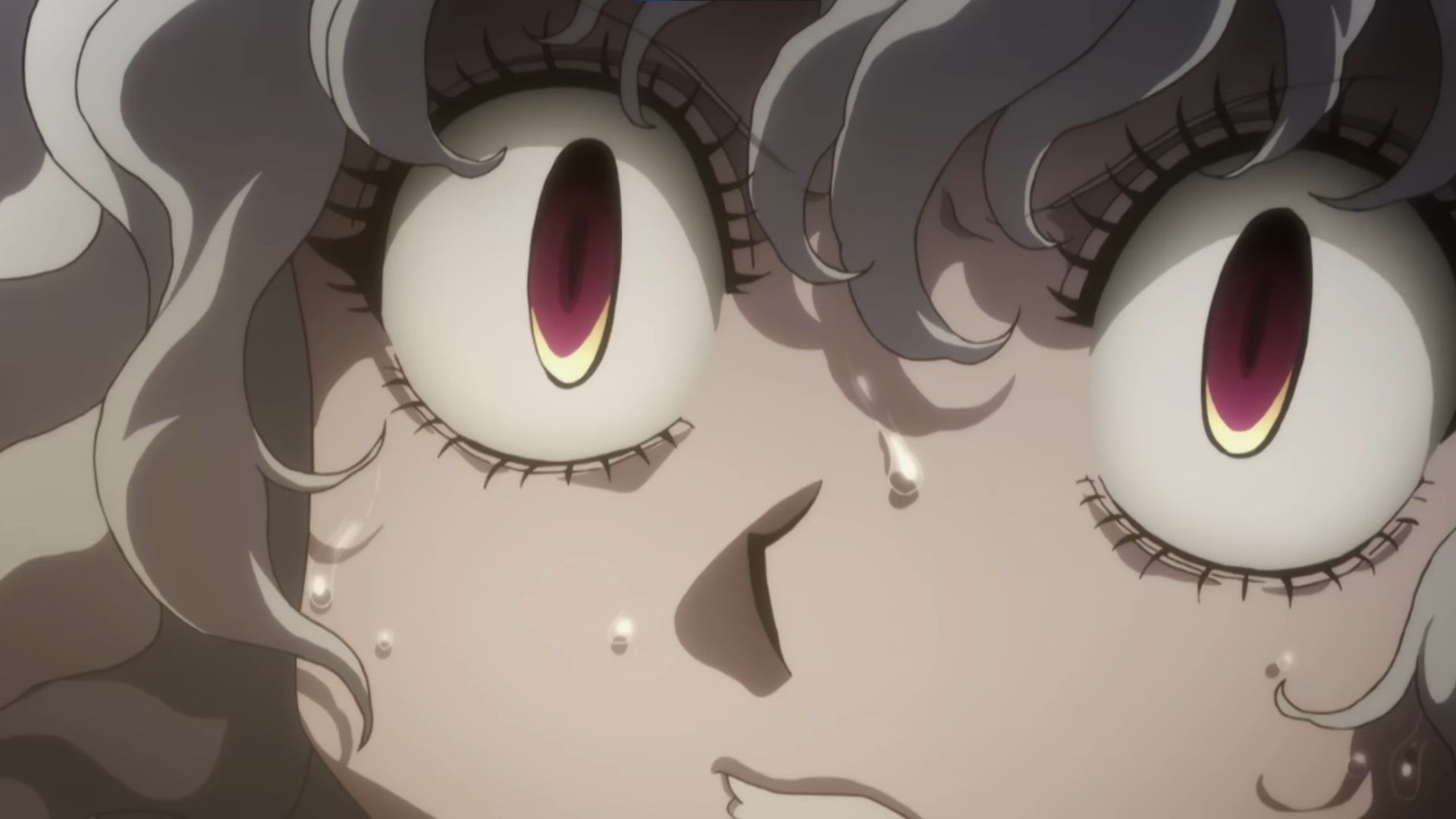 Pitou Hunter X Hunter Neferpitou | Hunterpedia | Fandom