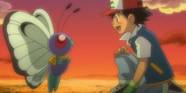 Pokemon With The Most Forms Pokemon With The Most Forms