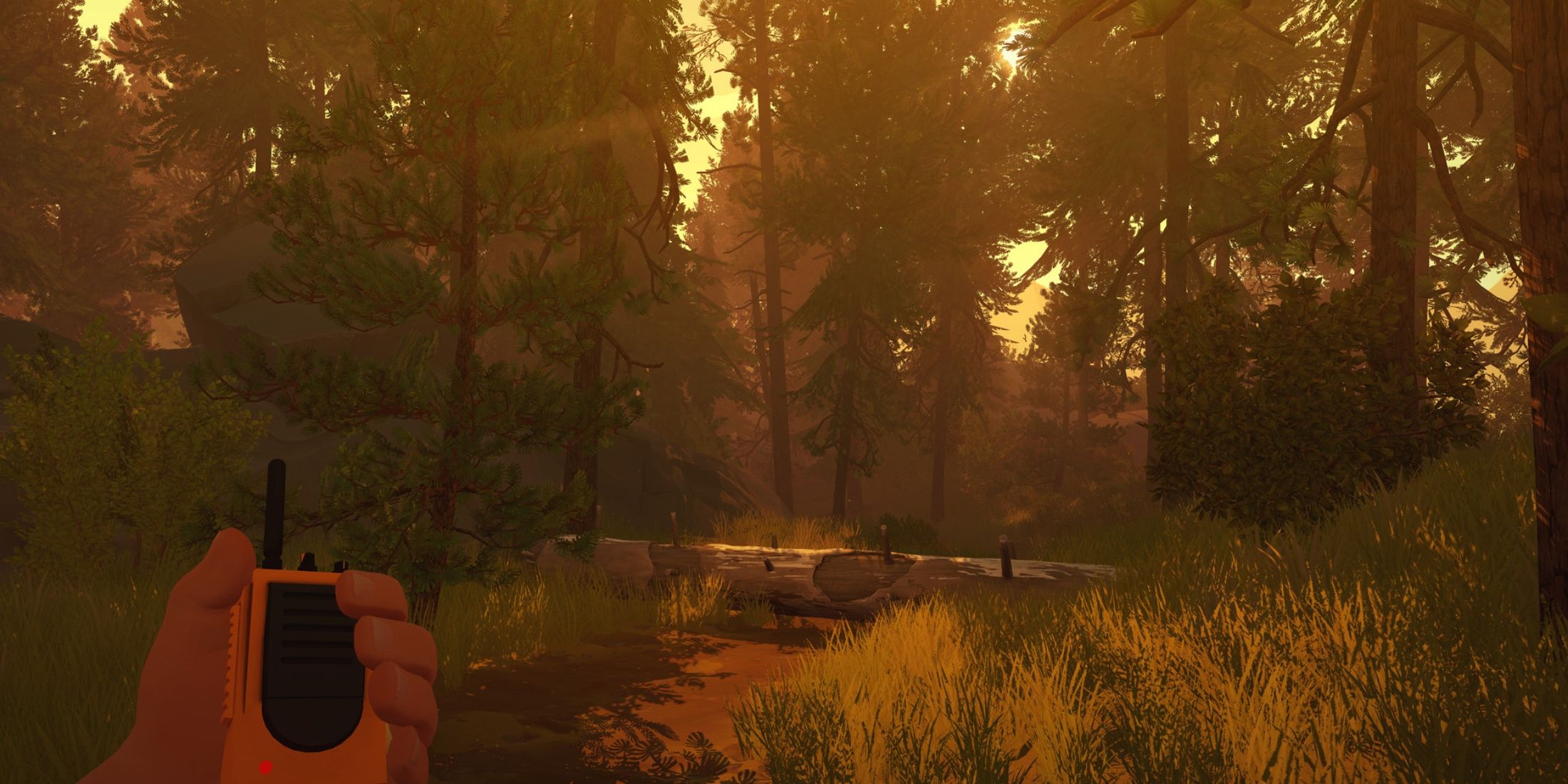 Firewatch Perfectly Captures The Pandemic's Loneliness