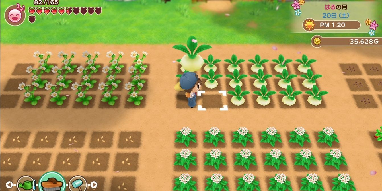 Story of Seasons: Friends of Mineral Town | TheGamer