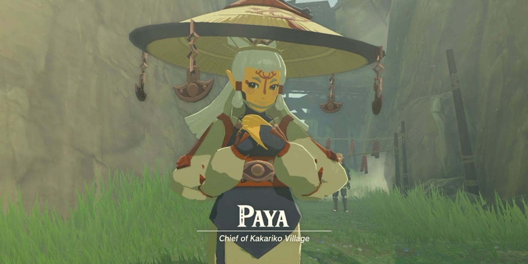 How To Use Get Nintendo Switch Game Vouchers?