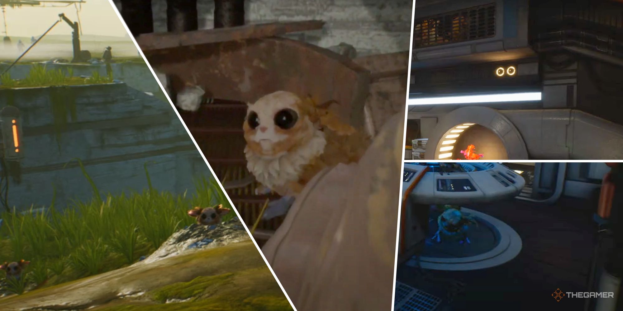 How To Get A Pet Bogling In Star Wars Jedi: Fallen Order