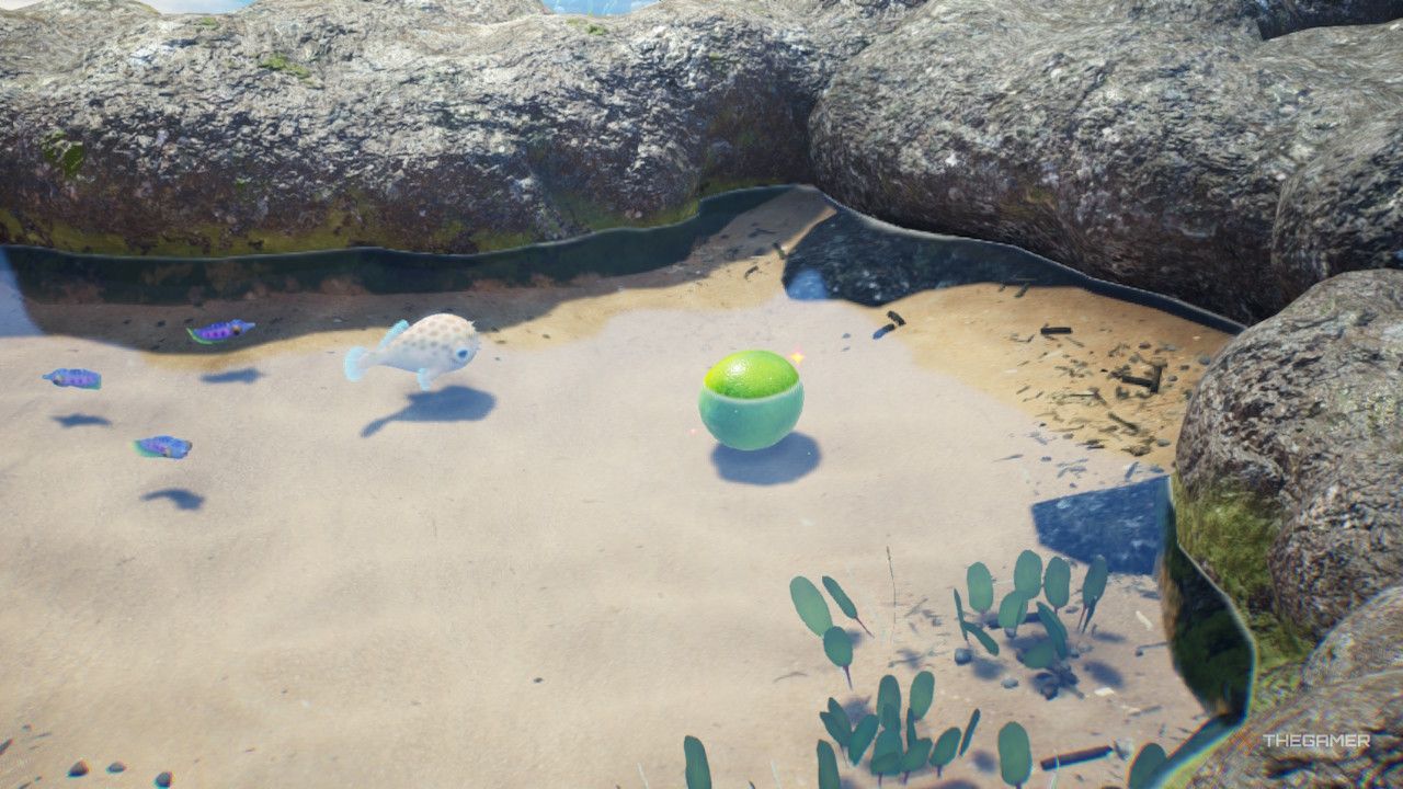 Every Serene Shores Treasure Location In Pikmin 4