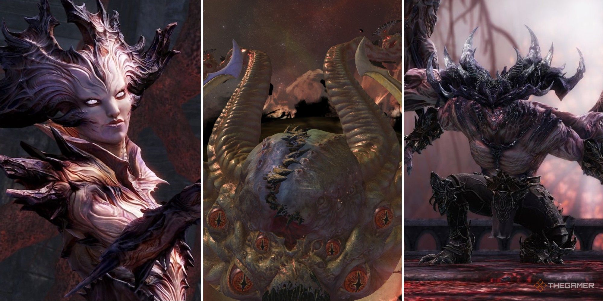 What Are The Kryptis In Guild Wars 2?