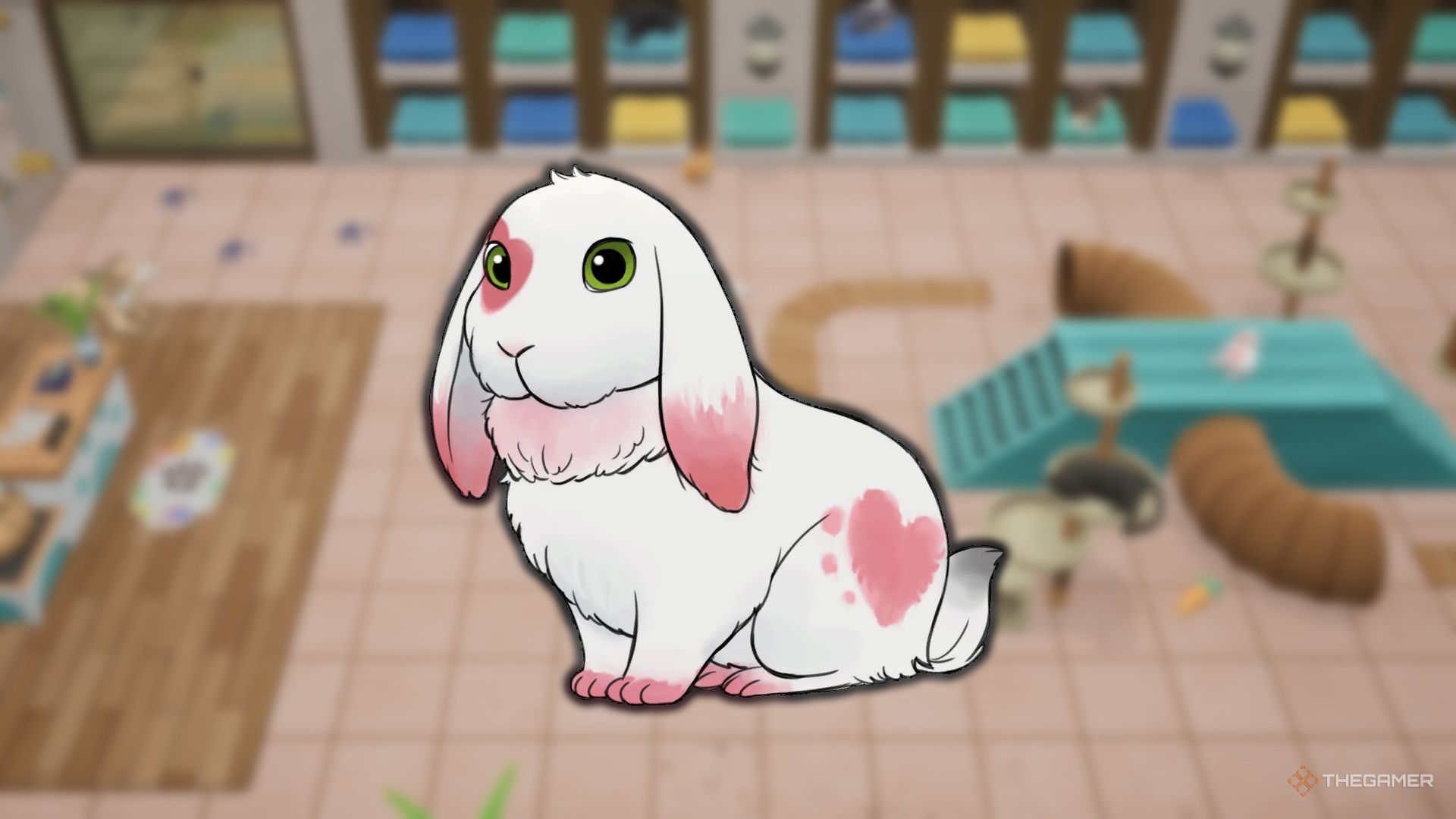 Best Pets In Coral Island