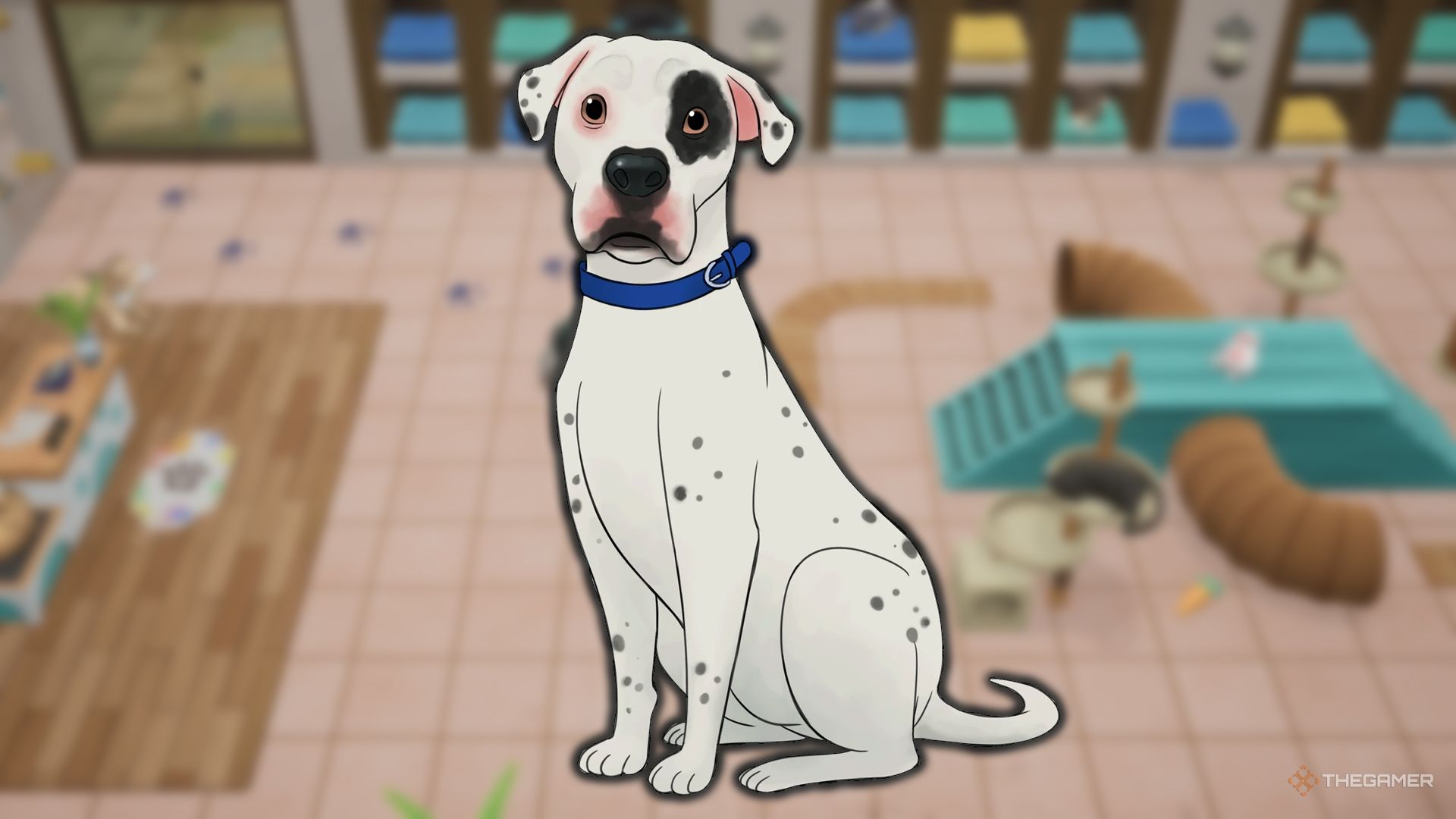 Best Pets In Coral Island