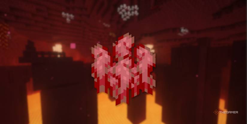 Best Nether Loot In Minecraft