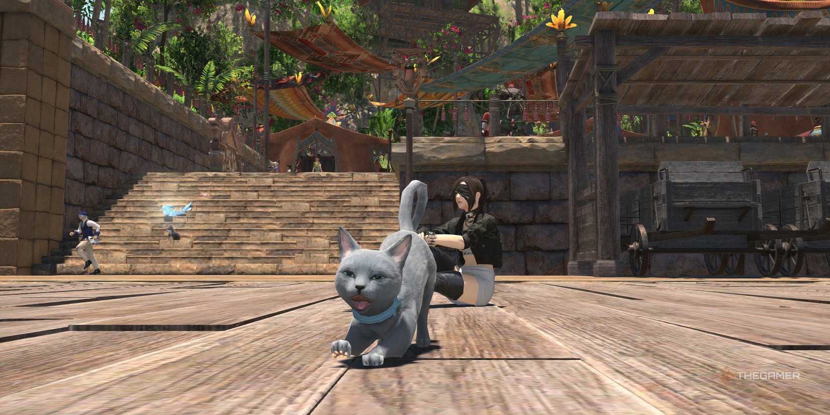 The Cutest Cat Minions In Final Fantasy 14