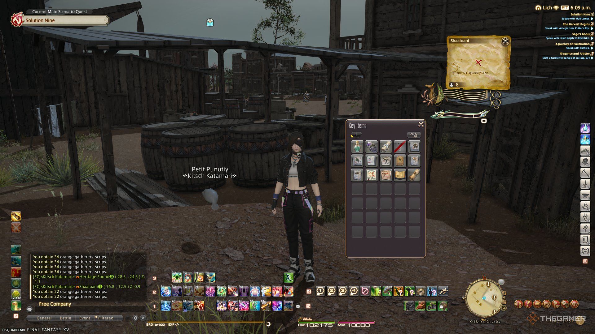 Amur Tiger Potion Map Location Ffxiv - Infoupdate.org
