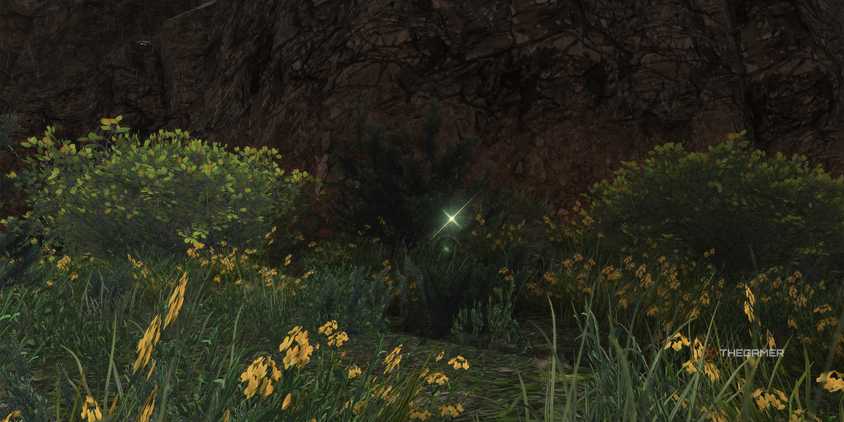 Where And When To Find Every Botanist Legendary Node In FFXIV: Dawntrail