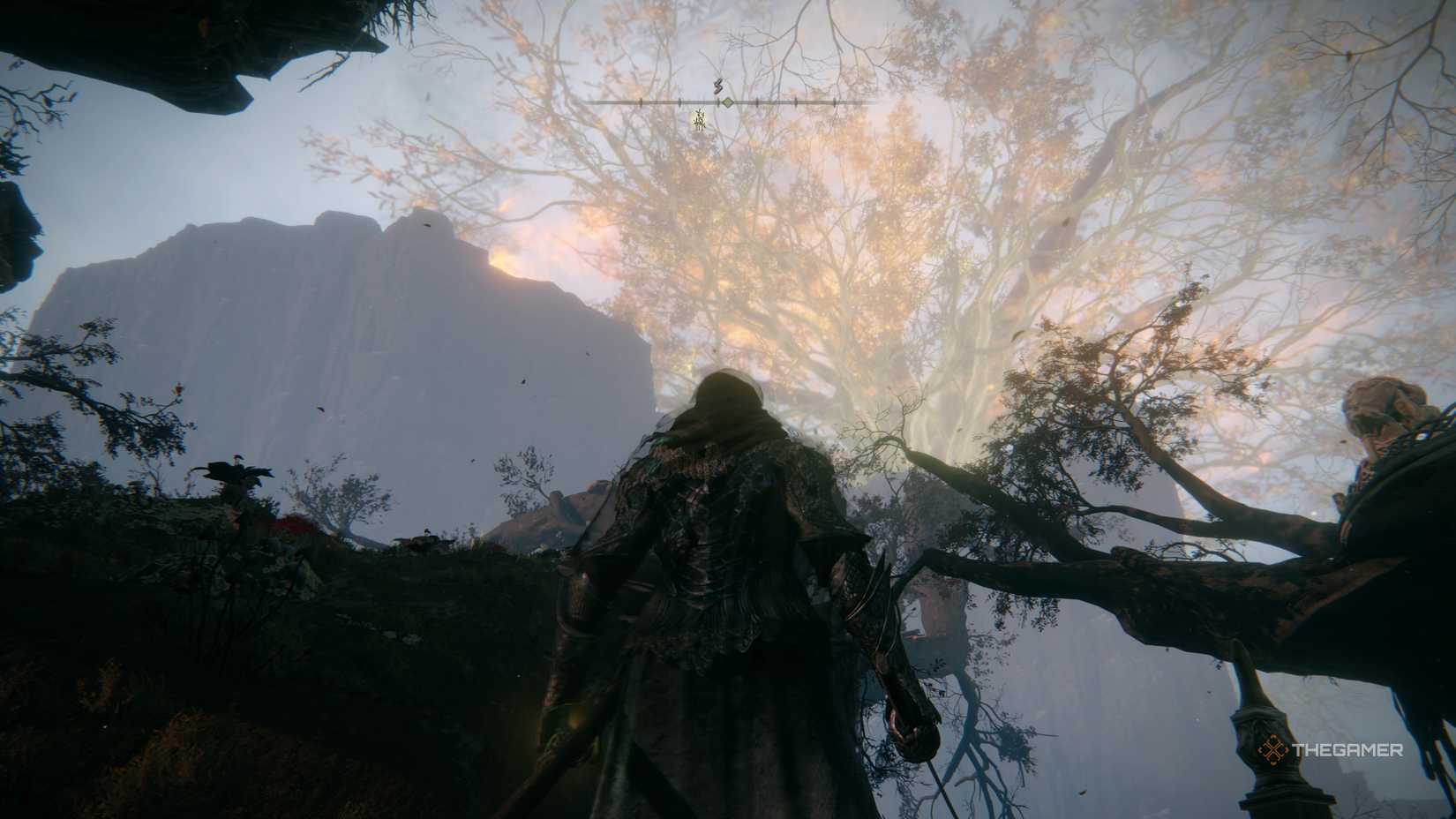 Why Did Miquella Put Himself In The Haligtree In Elden Ring?