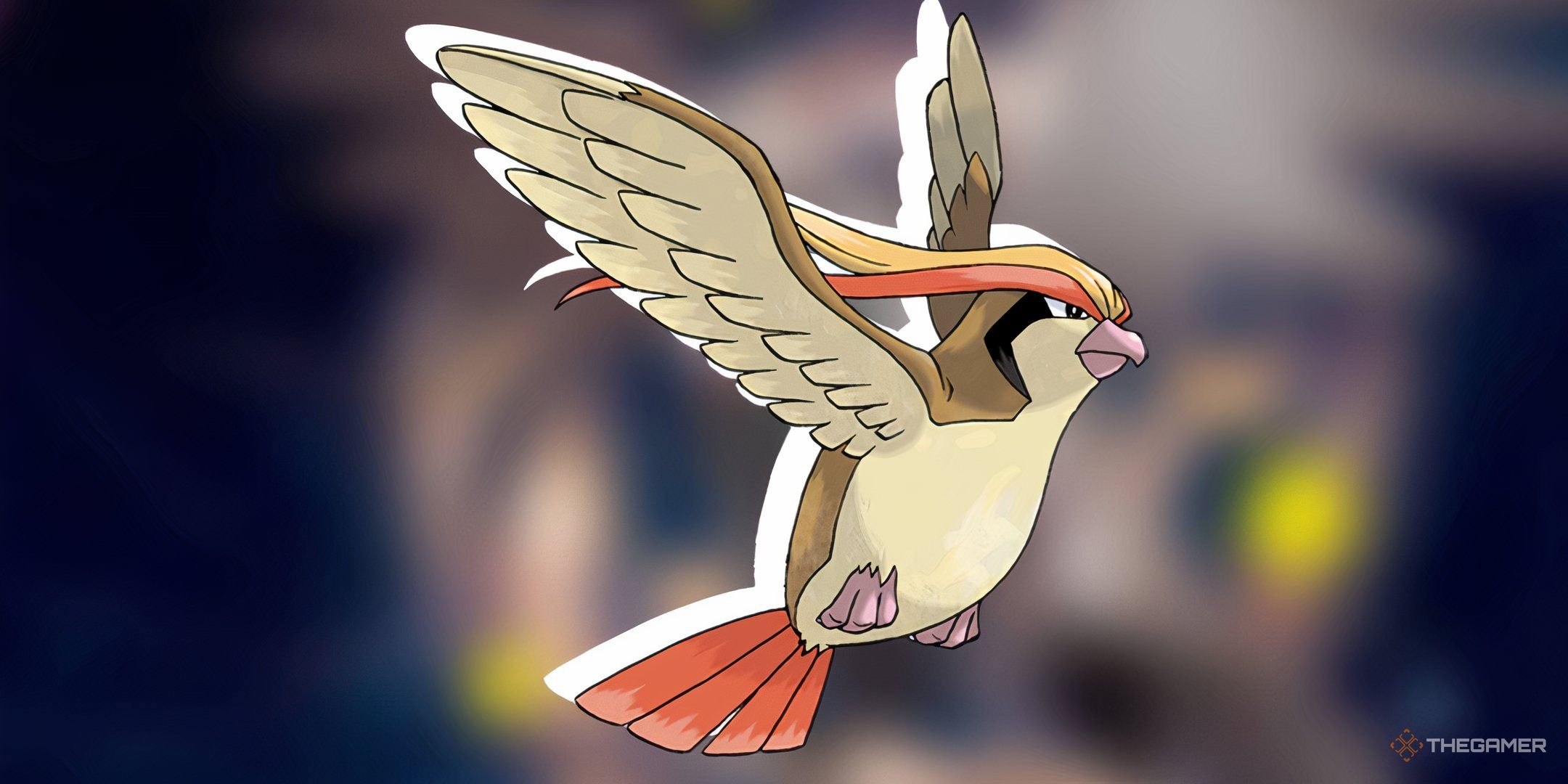 Staraptor Vs Pidgeot