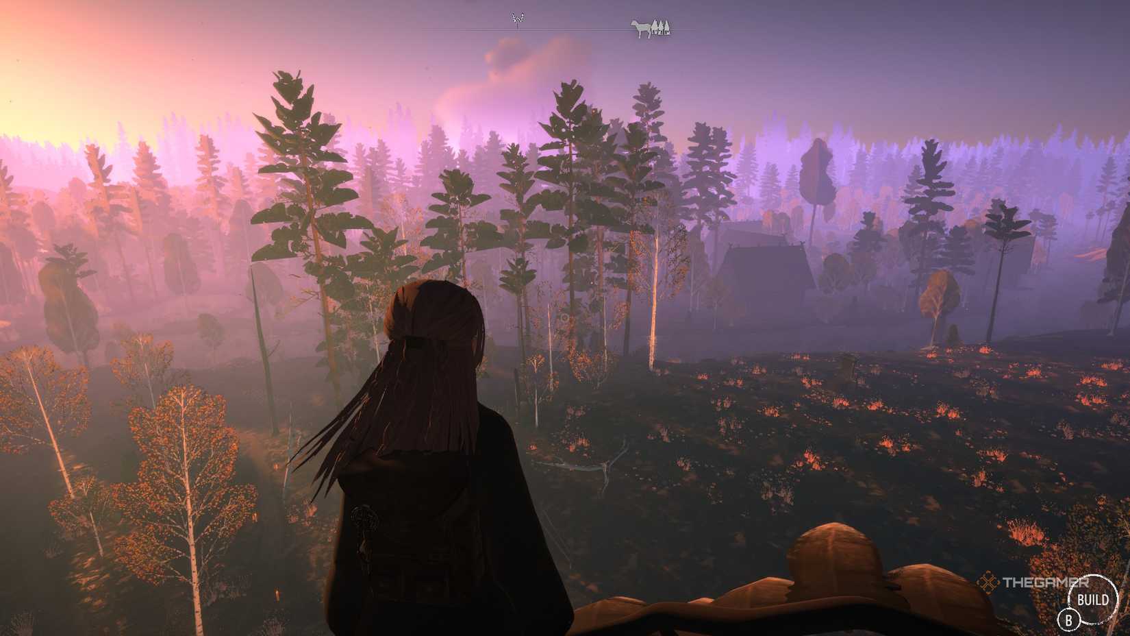 Beginner Tips And Tricks For Reka