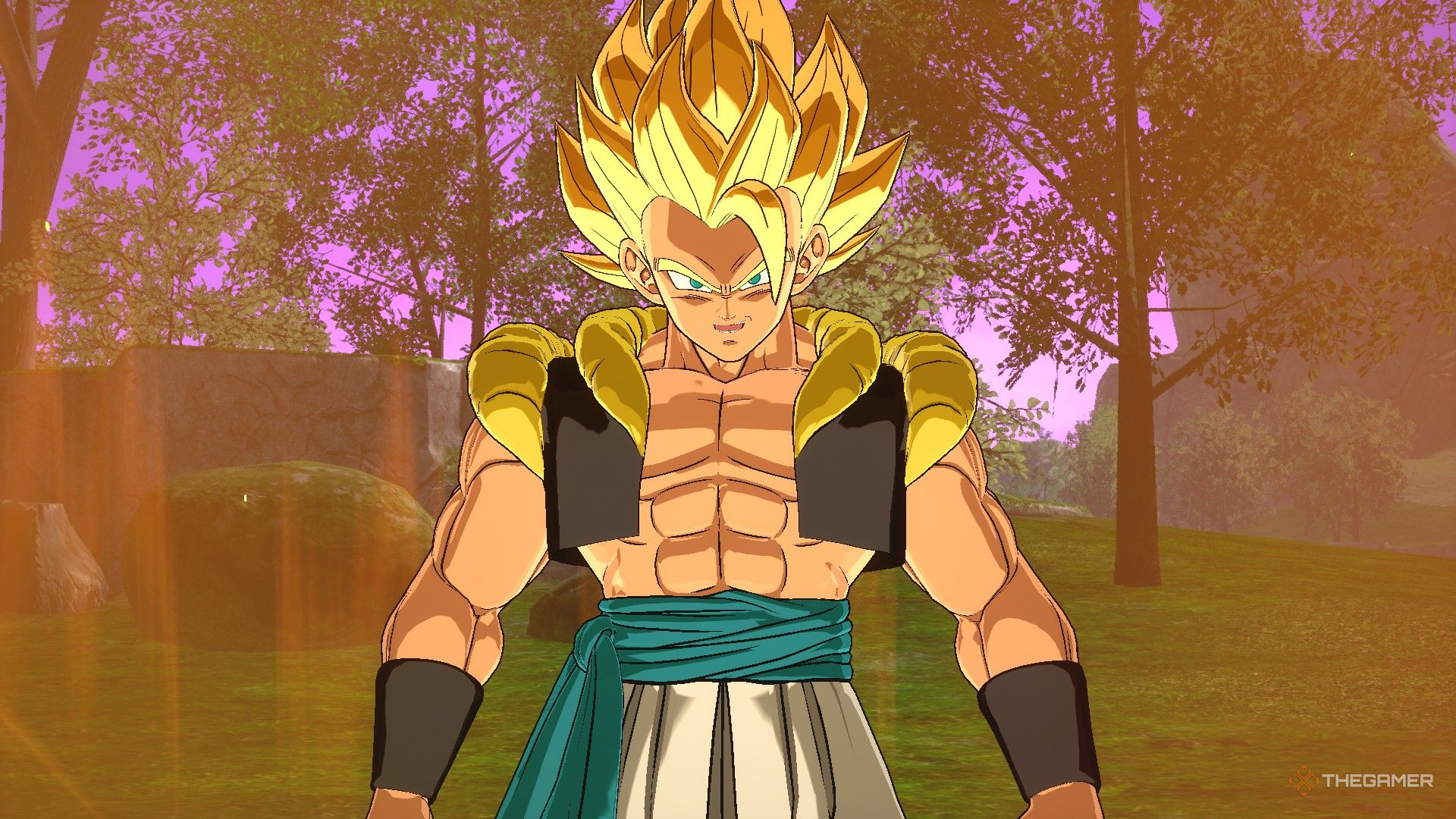 Tips And Movelist For Every Gogeta In Dragon Ball: Sparking Zero