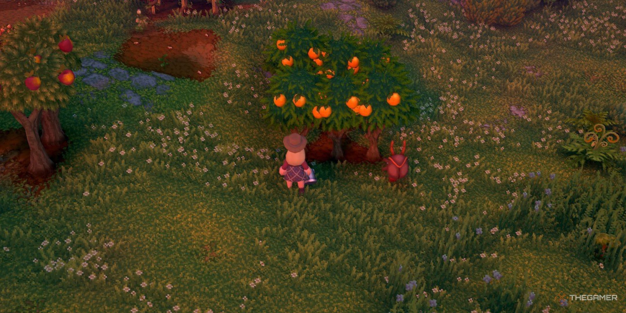 The Best Crops To Grow First In Luma Island