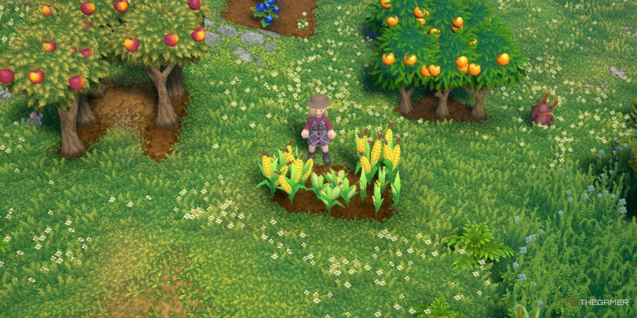 The Best Crops To Grow First In Luma Island