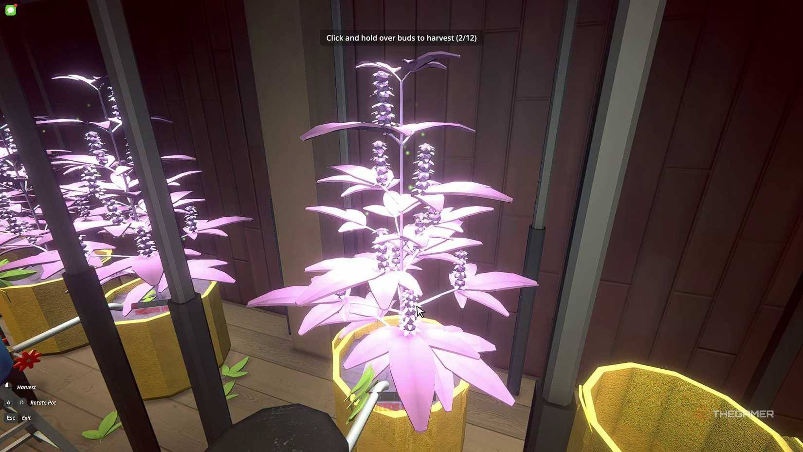 The Best Quality Types In Schedule 1