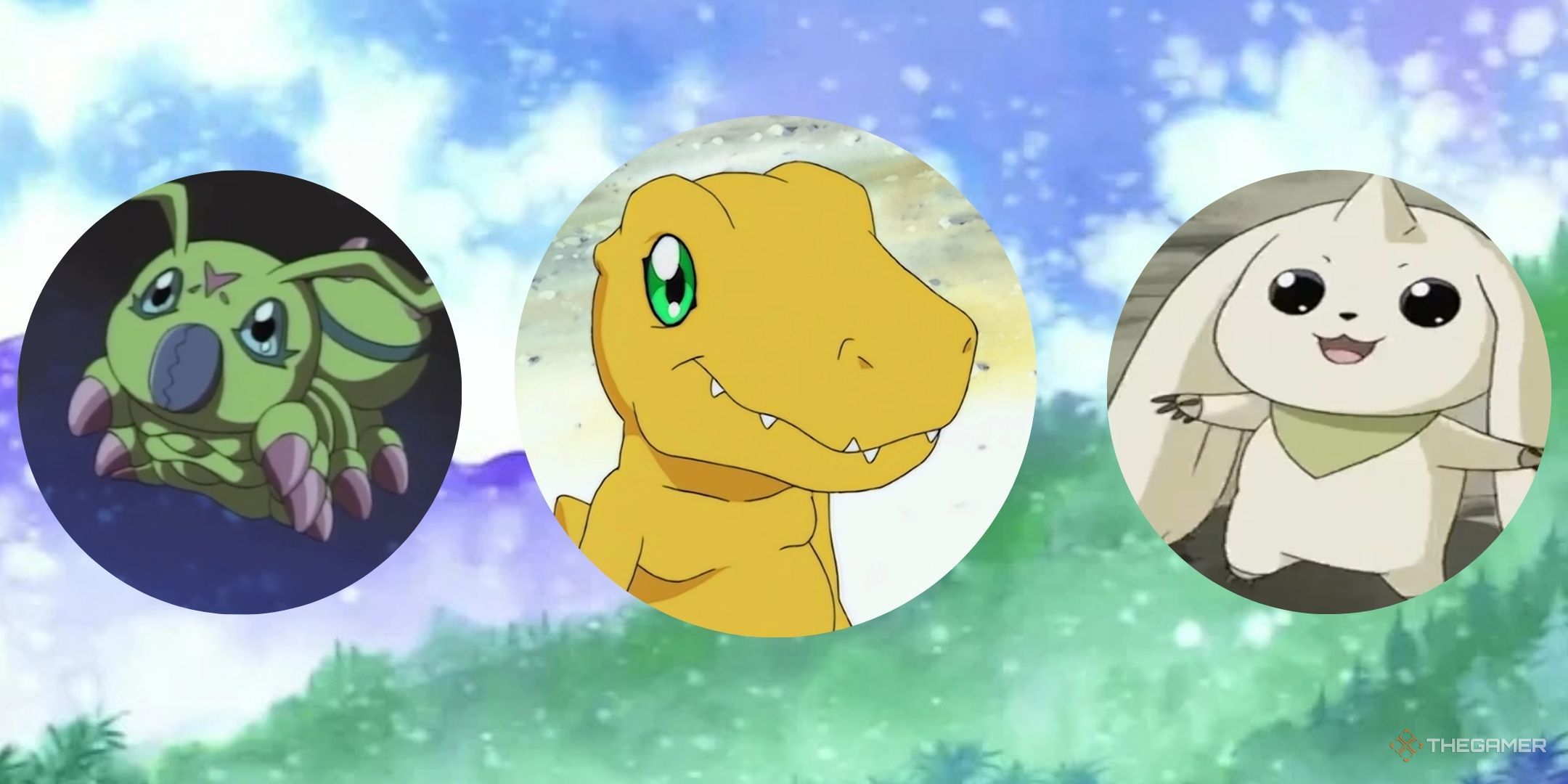 Эти новички дигимоны были настоящими звездами шоу. — XZZY