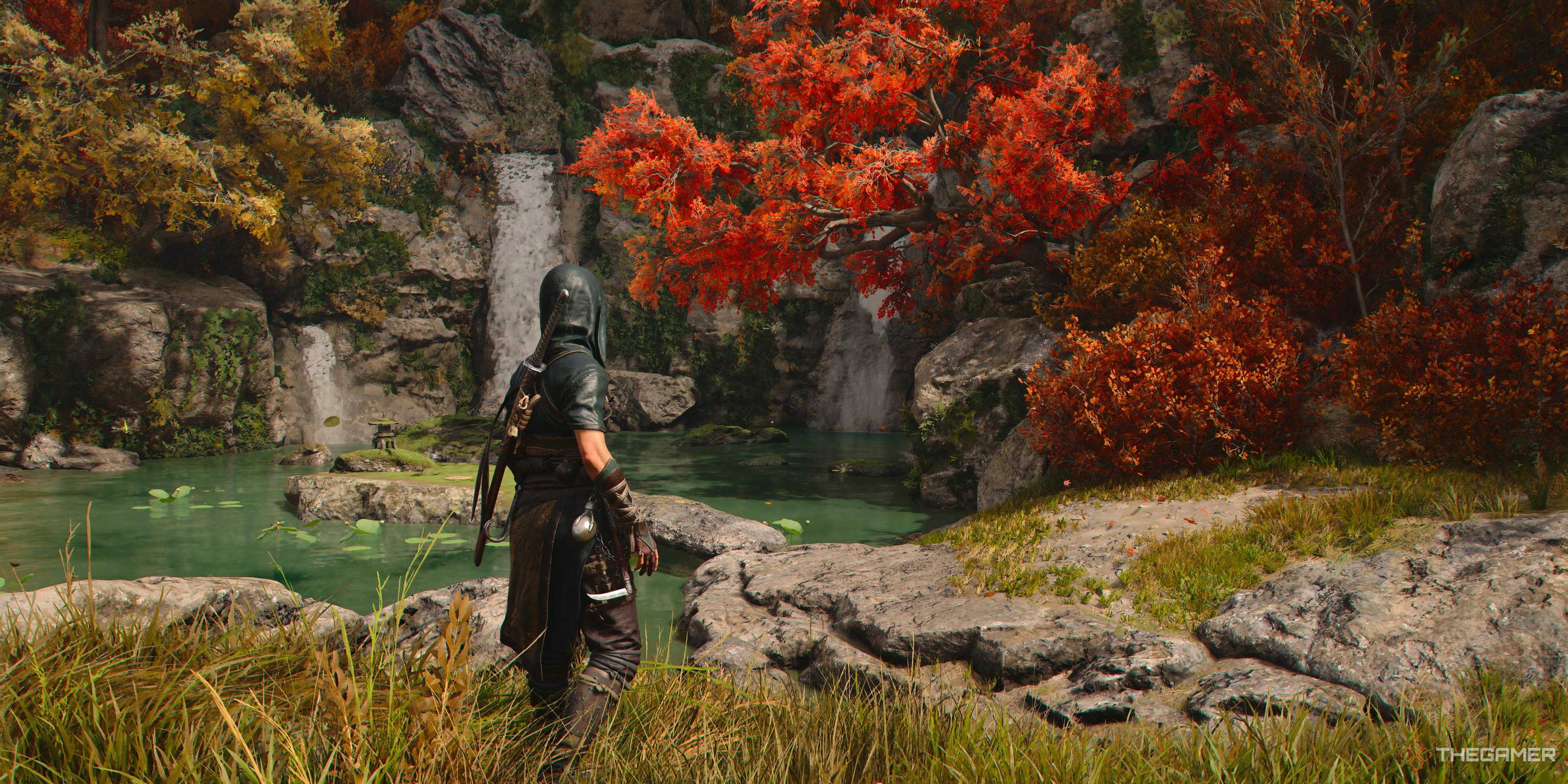 Crimson Desert Release Date, Game Length, Multiplayer Confirmed