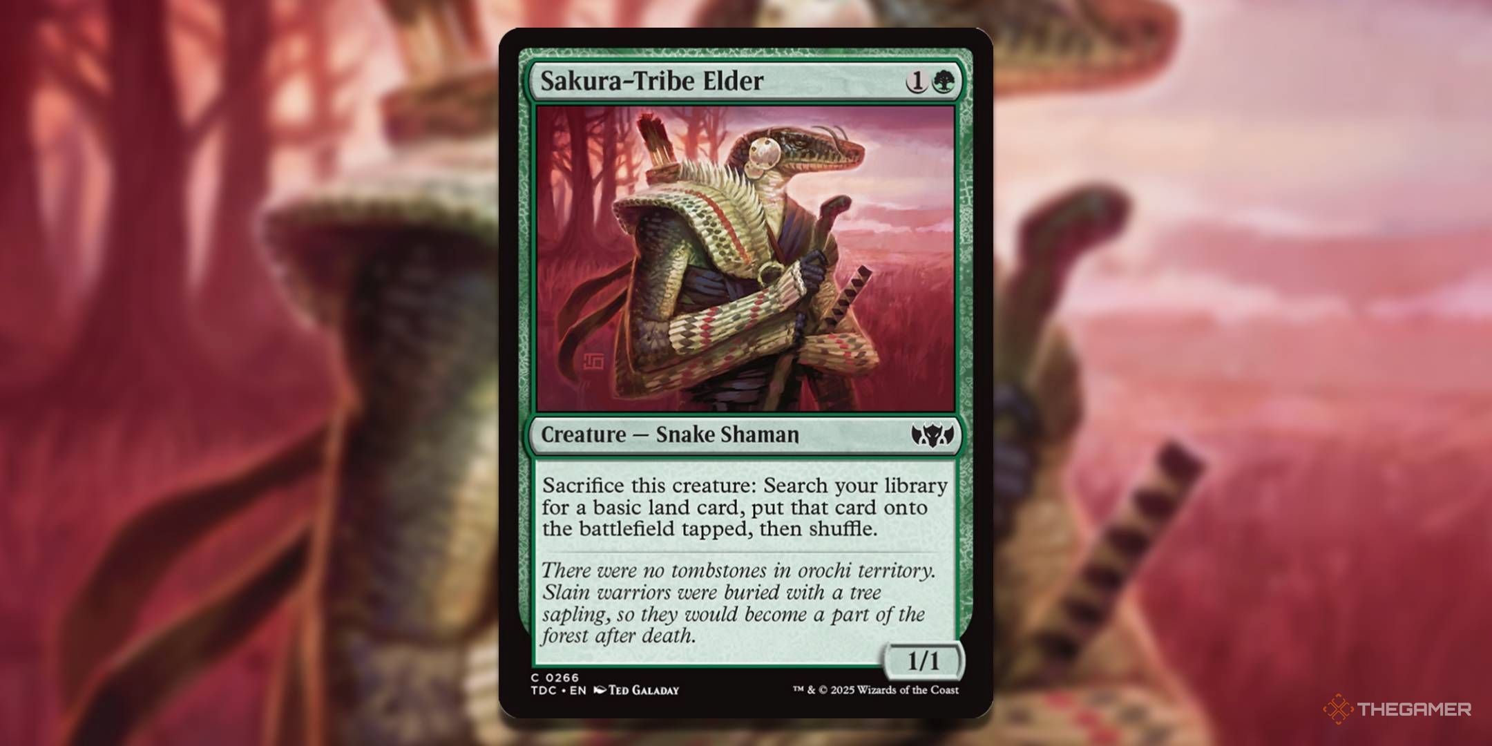 Why Do These MTG Cards Have Names Like "Bob" And "Steve"?