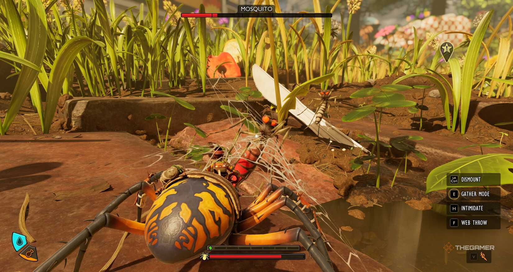 Where To Find Orb Weaver Eggs In Grounded 2