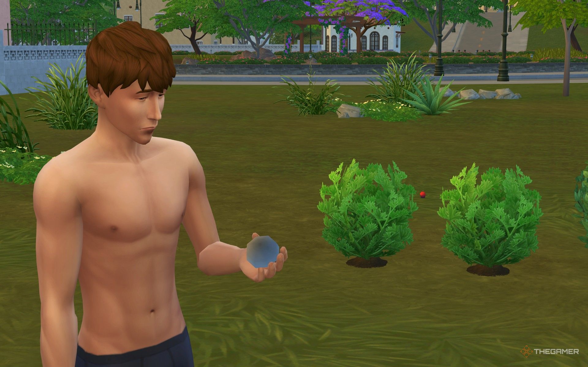 How The Sims 4: Enchanted By Nature Improves The Rags To Riches Challenge