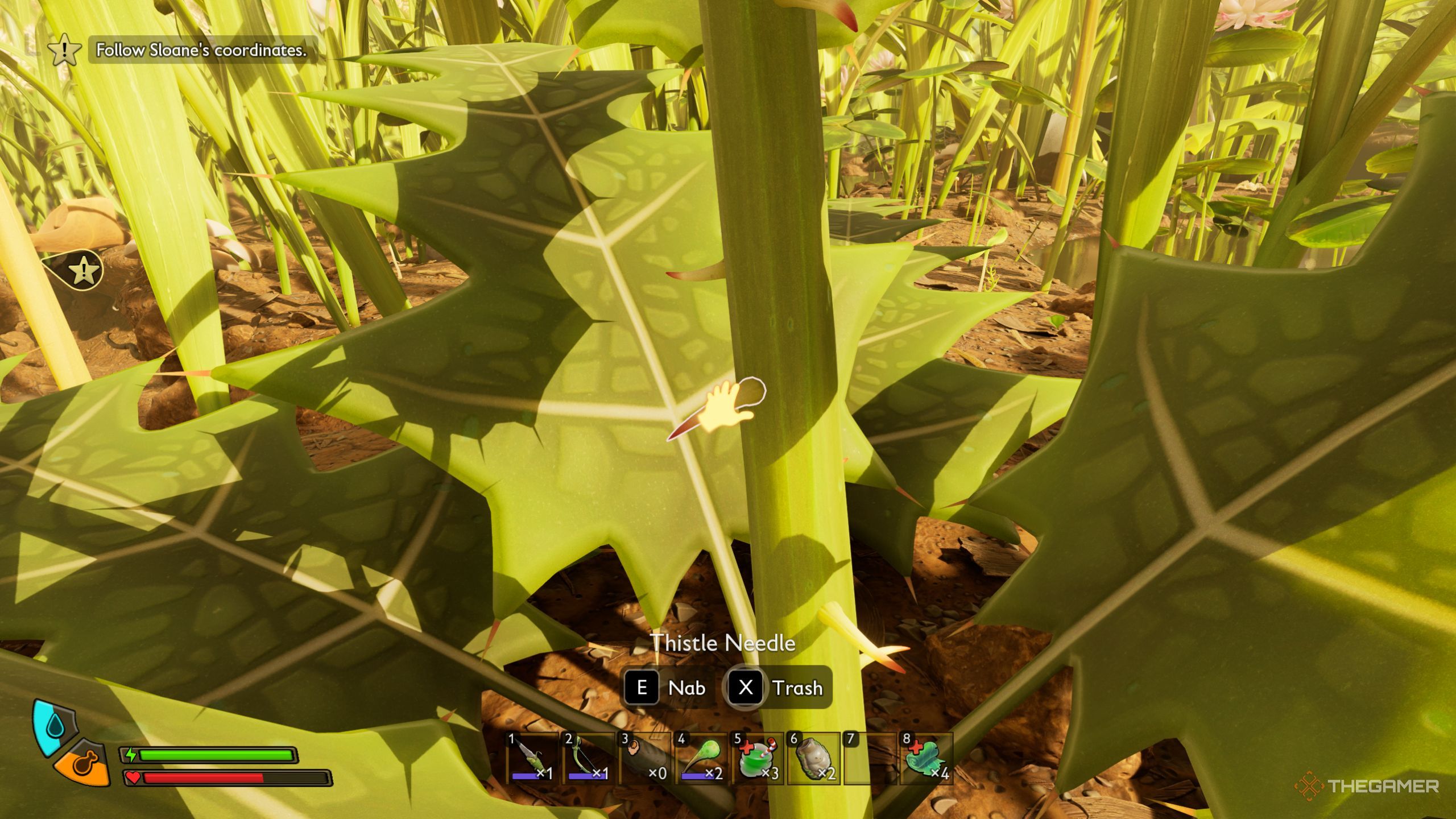 Where To Find Thistle Needles In Grounded 2