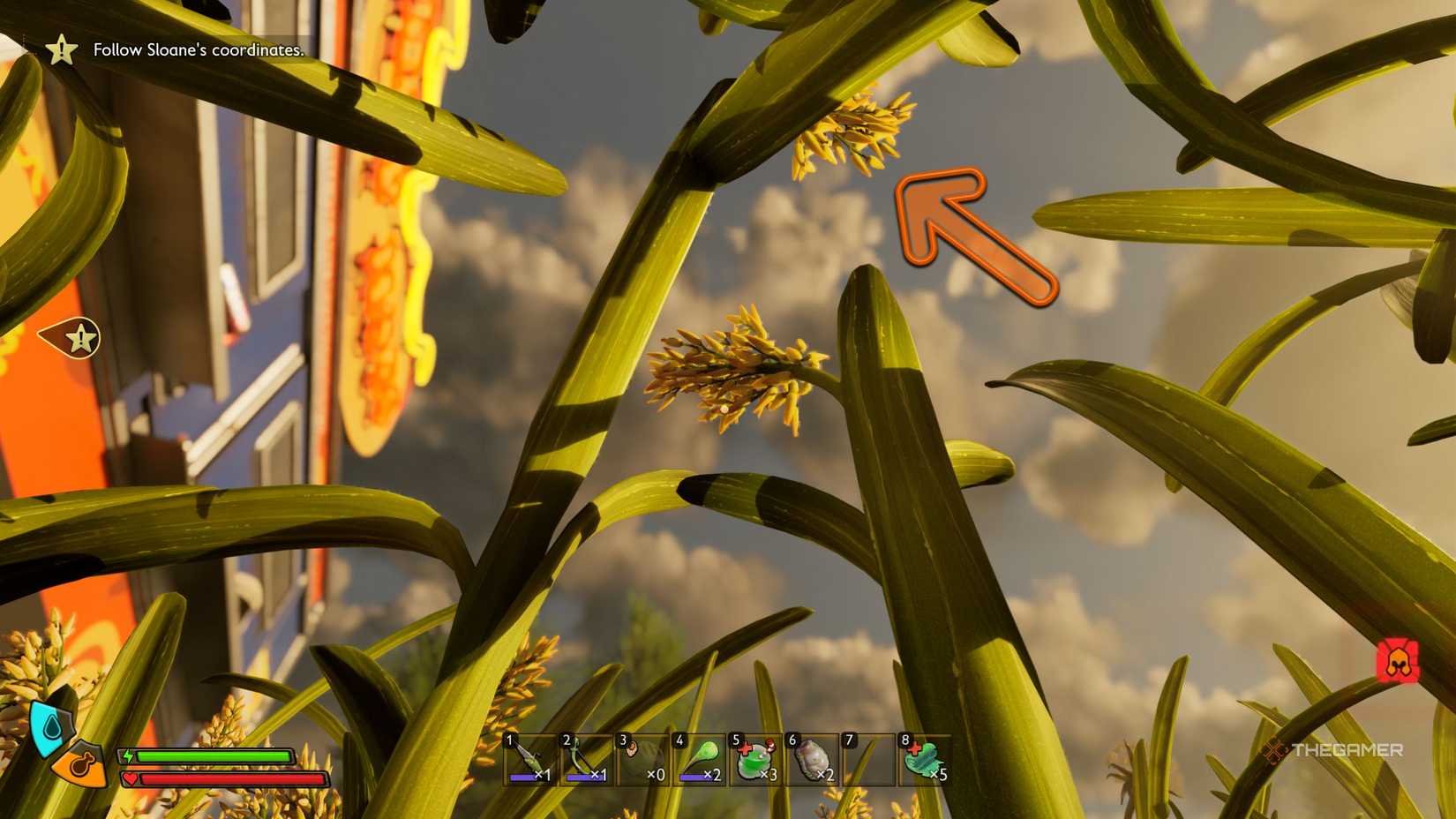 Where To Find Grass Seeds In Grounded 2