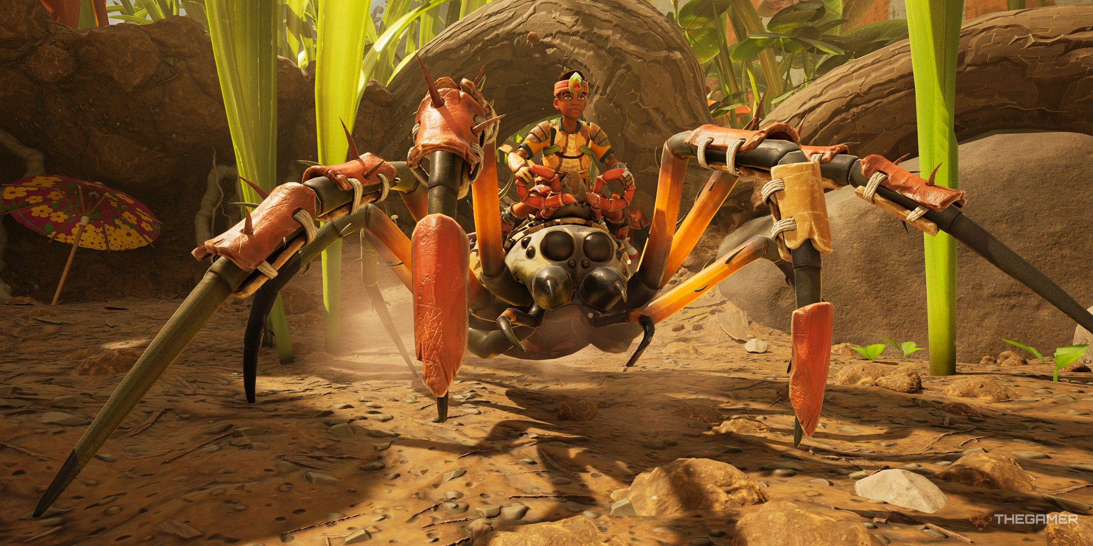 Where To Find Orb Weaver Eggs In Grounded 2