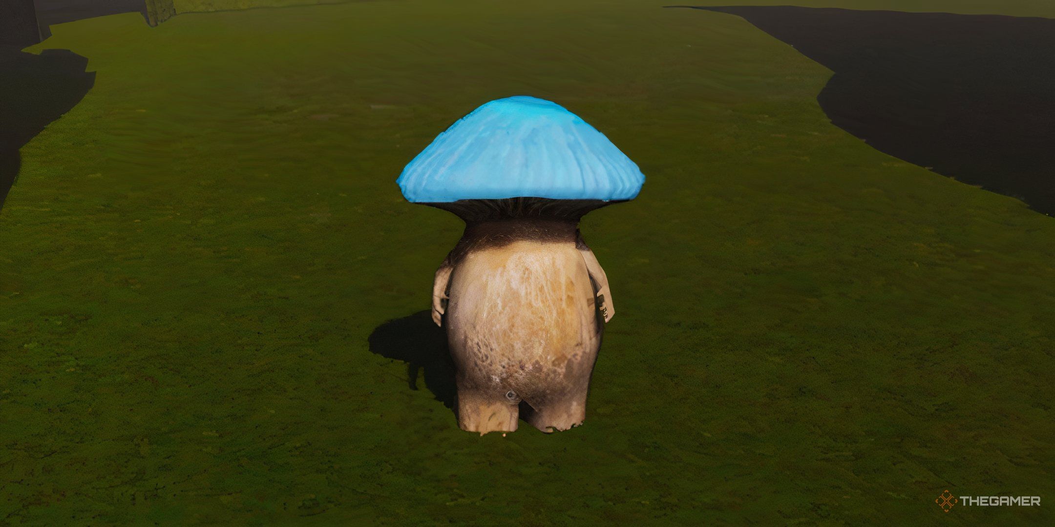 Things We Wish We Knew Before Playing Mage Arena